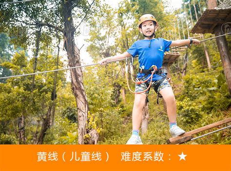 冒险中心建设 绳索网阵树上探险丛林飞越树上穿越磐石探险冒险树儿童探险拓展乐园 岩壁铁道式攀登探险公园