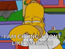S De Homer Simpson Crying Tenor