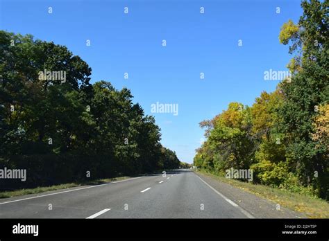 Country Road Landscape In Summer Empty Asphalt Road And Green Nature