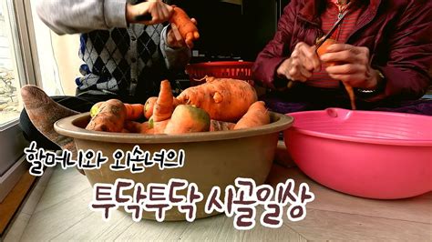 도시여자의 5도2촌 시골일상 Vlog Feat할머니의 사랑 Youtube