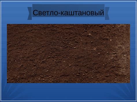 Чернозем. Подтипы чернозёма - презентация онлайн