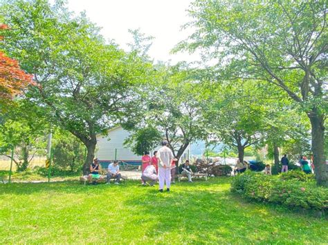 홈페이지 사진게시판 여름이 성큼 다가오는 햇살이 눈부신 날의 산책