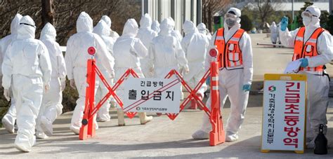 전북 김제·충남 아산 산란계 농장 2곳 고병원성 Ai 확진살처분 조치 파이낸셜뉴스