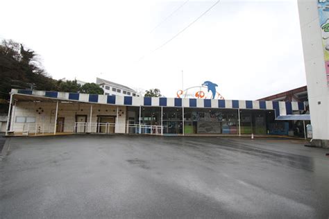 伊豆・三津シーパラダイス～静岡県沼津市～