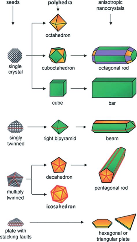 A General Schematic Illustration Showing The Role Of The Initial Seed