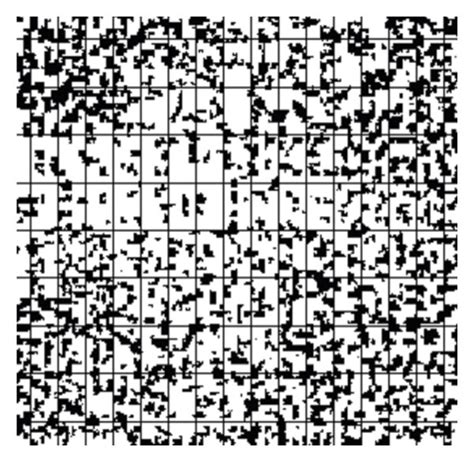 The Watermark Image After Quantum Hilbert Scrambling Download