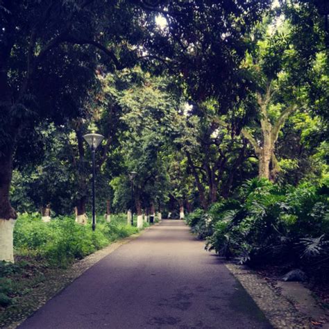 天气预报是怎么预测的？ 数据 气象 地面