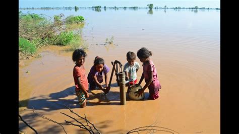 No Excess Water To Be Released From Bhakra Pong Dams Till Situation In