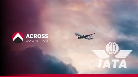 Qué Es Iata La Asociación Internacional De Transporte Aéreo