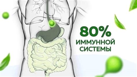 Щитовидная железа Гормон Т3 - это главный гормон щитовидной железы ...