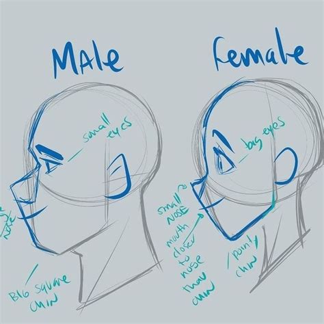 Drawing Tutorials References On Instagram Quick But Useful Credit Rodgontheartist