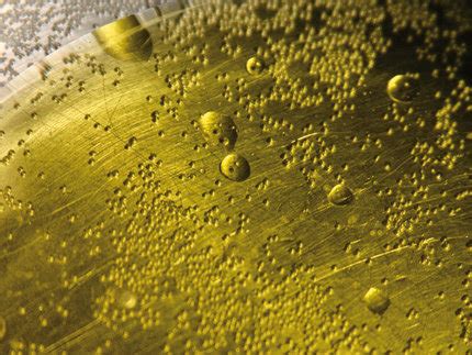 Миндальные чипсы - Princess мелкая бытовая техника для кухни