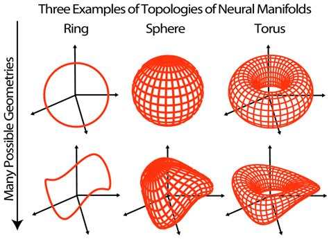 221210414 Quantifying Extrinsic Curvature In Neural Manifolds