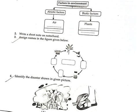 Factors In Environment Write A Short Note On Notochord Assign Names In T