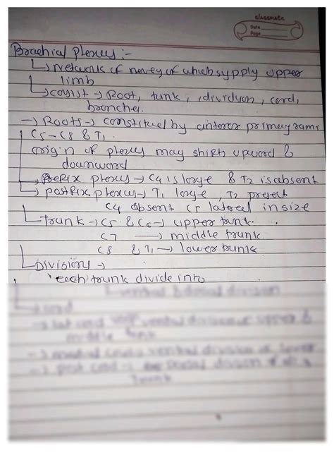 SOLUTION Brachial Plexus Studypool