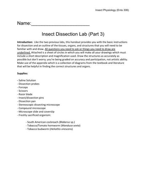 Insect Dissection Lab Iii