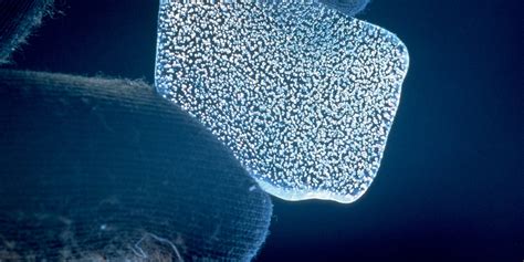 Polar Ice Cores Part 1 Undercover Science By T R J