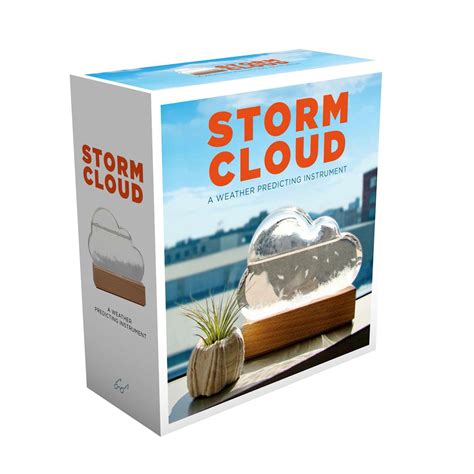 Chronicle Books Storm Cloud Weather Predicting Instrument Fun Cloud