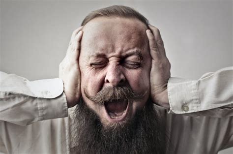 20000张最精彩的 Ear”图片 · 100免费下载 · Pexels素材图片