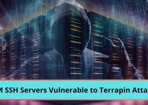 Over 11m Ssh Servers Are Vulnerable To New Terrapin Attack Cyber Affairs