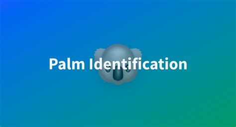 Lily Hustpalm Identification At Main