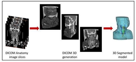 3d Multi Modality Medical Imaging Combining Anatomical And Infrared