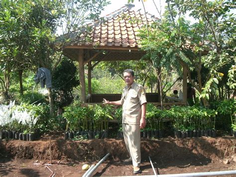 Teknik Sambung Pucuk