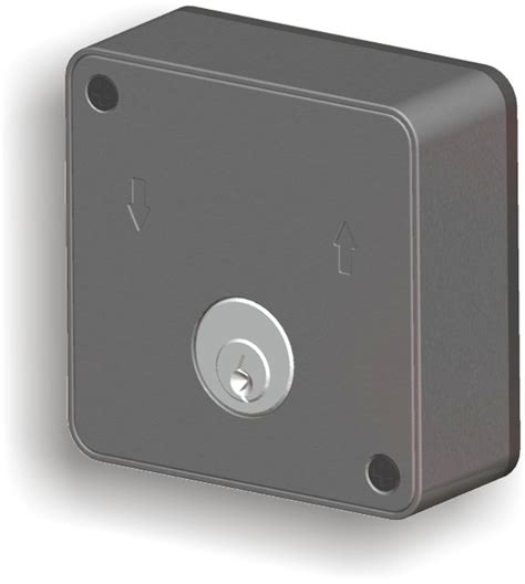 Selector De Llave 2 Posiciones Automatismos Pujol Flat Key Seguridad