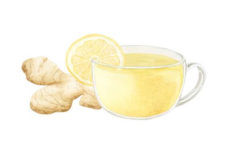 수채화 허브 차 레몬 슬라이스와 생강 유리 머그잔 수채화 그림은 흰색에 고립되어 있습니다 가을과 겨울철에 독감과 감기에 대비한 유기농 성분의 뜨거운 치유 음료 가을에 대한