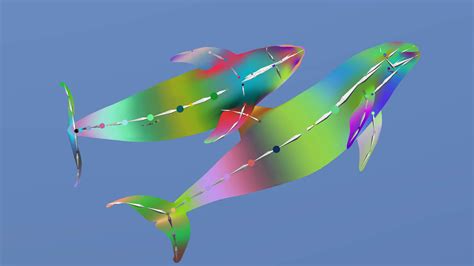 Vaquita 3d Model By Nestaeric