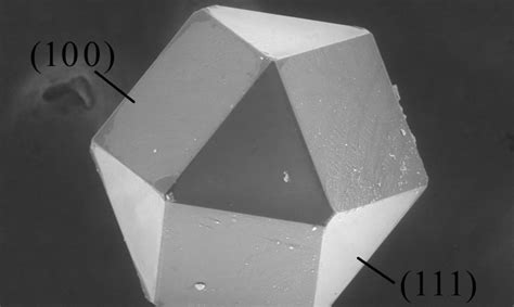 Cuboctahedron Inventables
