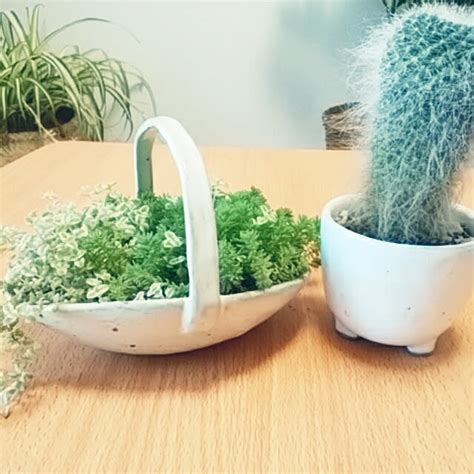 部屋全体植木鉢多肉植物陶芸ベランダガーデンなどのインテリア実例 2018 05 20 133705 ｜ Roomclip