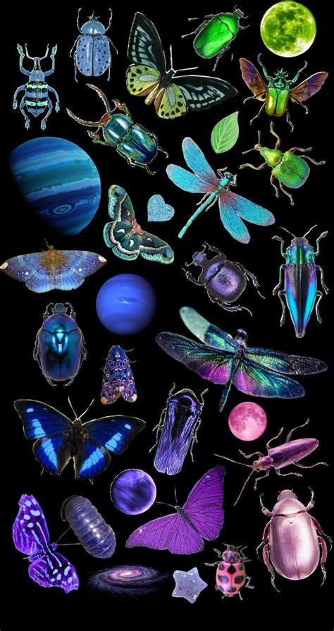 Alien Bugs In Space Insect Insects Bugs Entomology Cute Simple