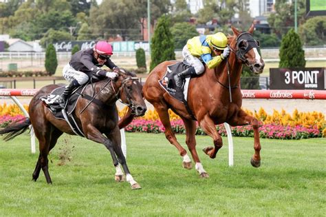 Sandown Hillside Tips 26 Best Value