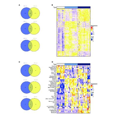 The Representative Genes And Immune Cells For Each Subtype A The Download Scientific