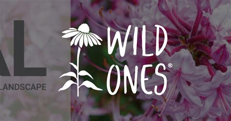 Ndal Offering Summer Virtual Learning Sessions Discounted For Wild Ones