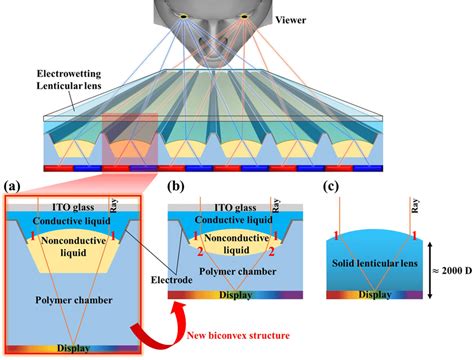 The Light Refraction Patterns Of The A Planoconvex Structure B