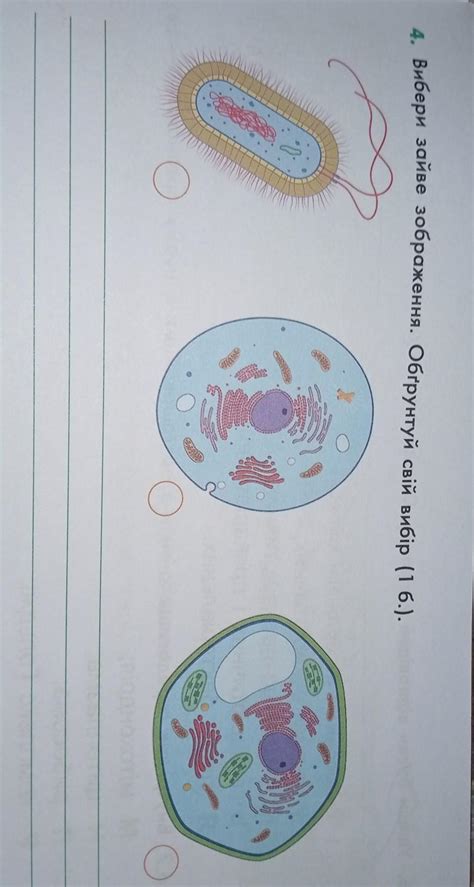 4 Вибери зайве зображення Обґрунтуй свій вибір 1 б Допоможіть будь ласка Даю 25 баллів