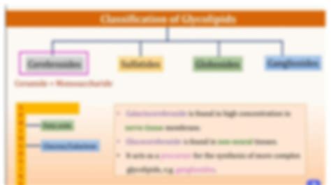 Solution Lipids Classification Of Lipids Glycolipids Lipoprotein