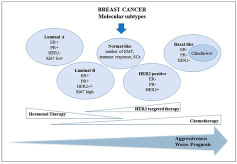 Jpm Free Full Text Circulating Micrornas As Prognostic And