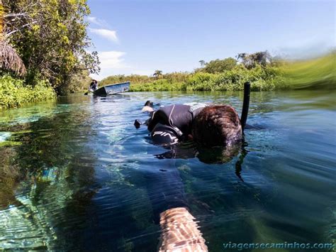 Flutuação Rio Sucuri Bonito Rio mais cristalino do Brasil Viagens