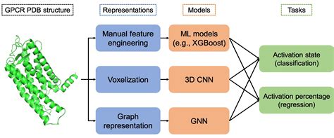 Prediction Of Gpcr Activity Using Machine Learning Computational And