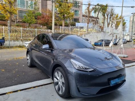 광주썬팅테슬라 모델y 깔끔하게 썬팅 완료 네이버 블로그