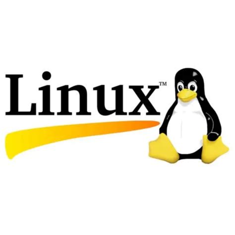 Linux Introduction Course IBEX Experts