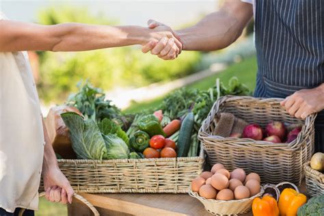 Beneficios De La Agricultura Orgánica Colombia Verde