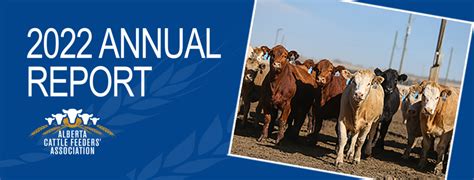 What We Do Alberta Cattle Feeders Association