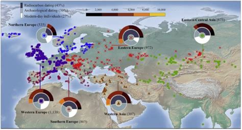 Ai Supported Temporal Population Structure Tps Technique Sheds Light
