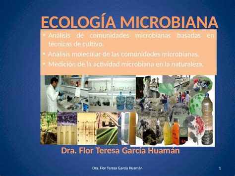 PPTX Análisis de comunidades microbianas basadas en técnicas de cultivo Análisis molecular de