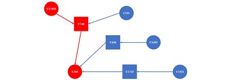 Detecting Malicious Remote Authentication Requests Using Graph Learning