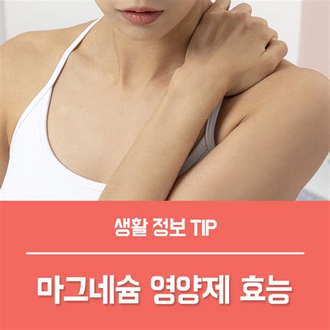 마그네슘 영양제 효능 섭취방법 마그네슘영양제 추천 기준은 네이버 블로그